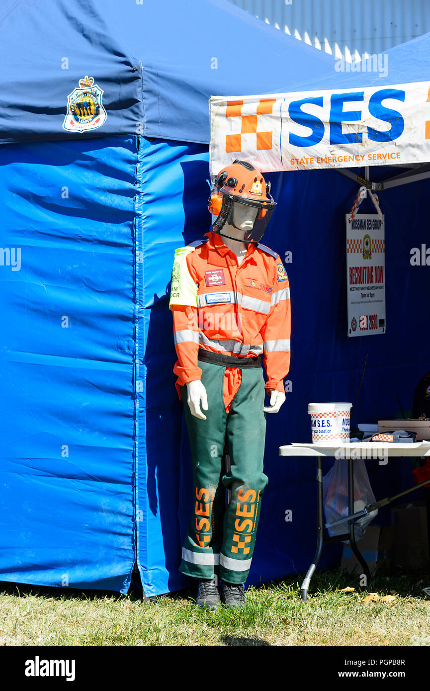 Qld Ses Logo SES Queensland