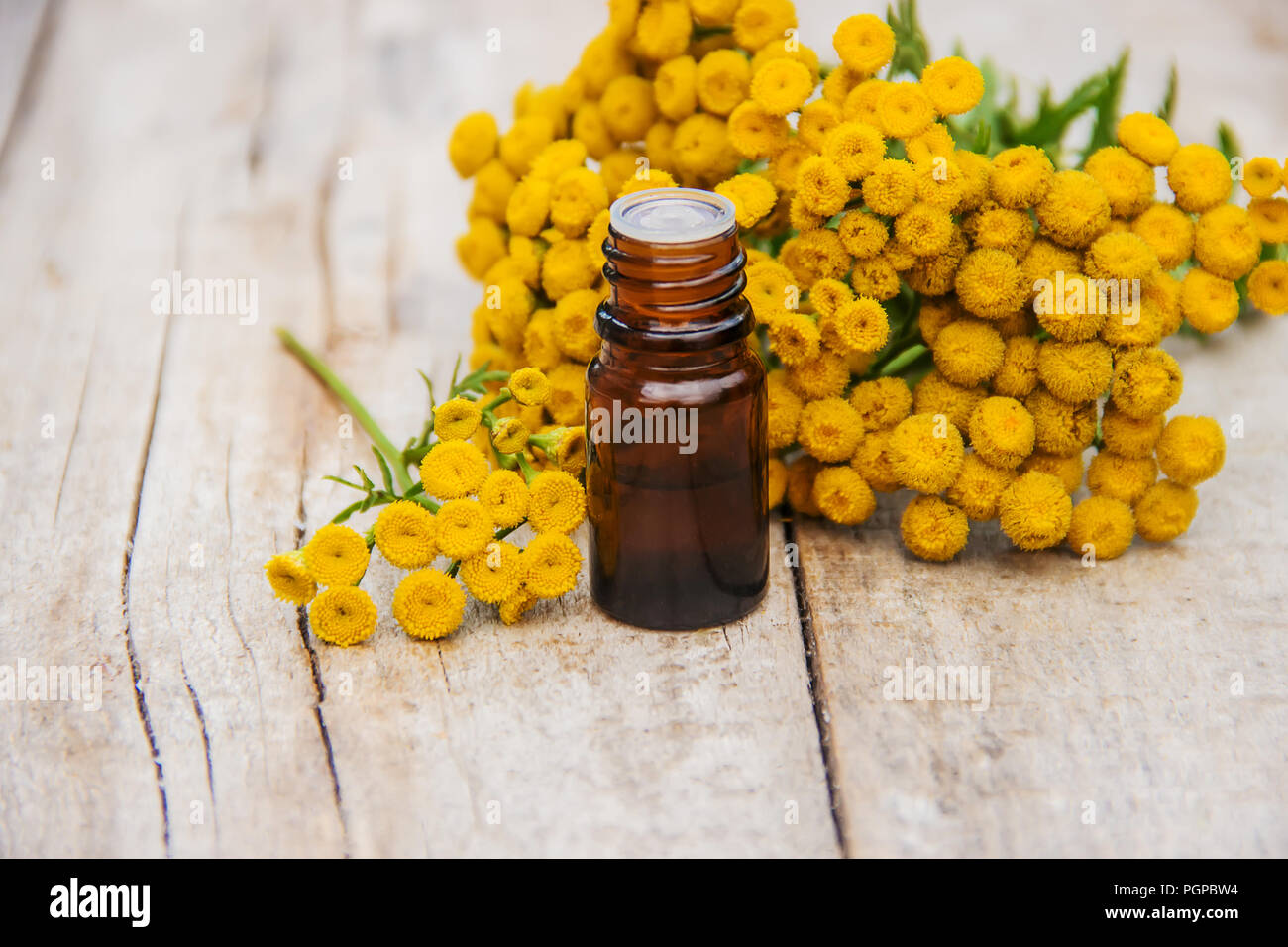 tansy medicinal extract, tincture, decoction, oil, in a small bottle ...