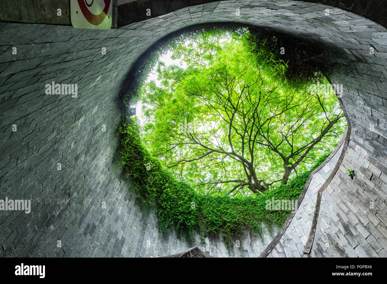 Spiral staircase at Fort Canning Park, Singapore Stock Photo - Alamy