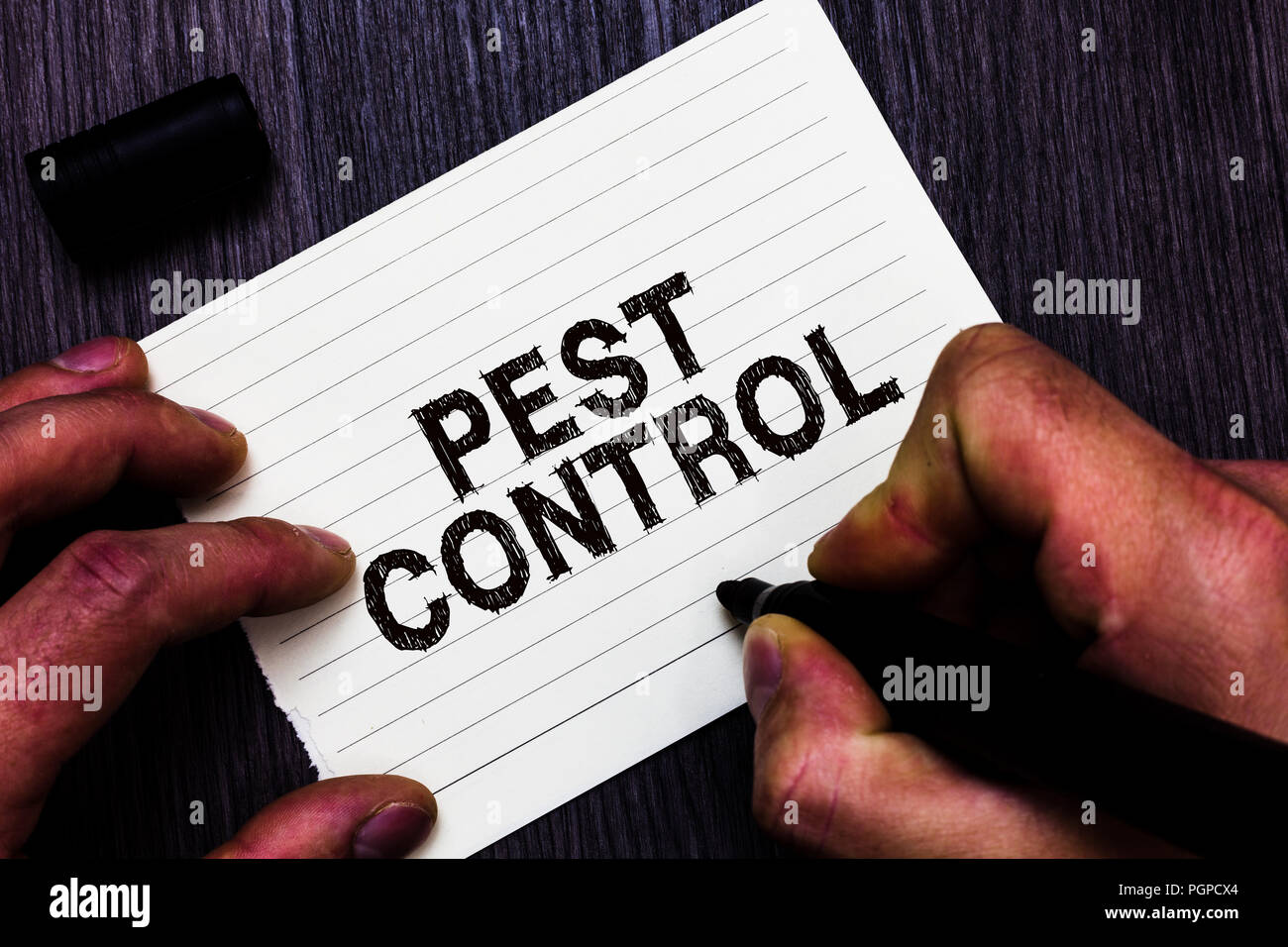 Text sign showing Pest Control. Conceptual photo Killing destructive ...