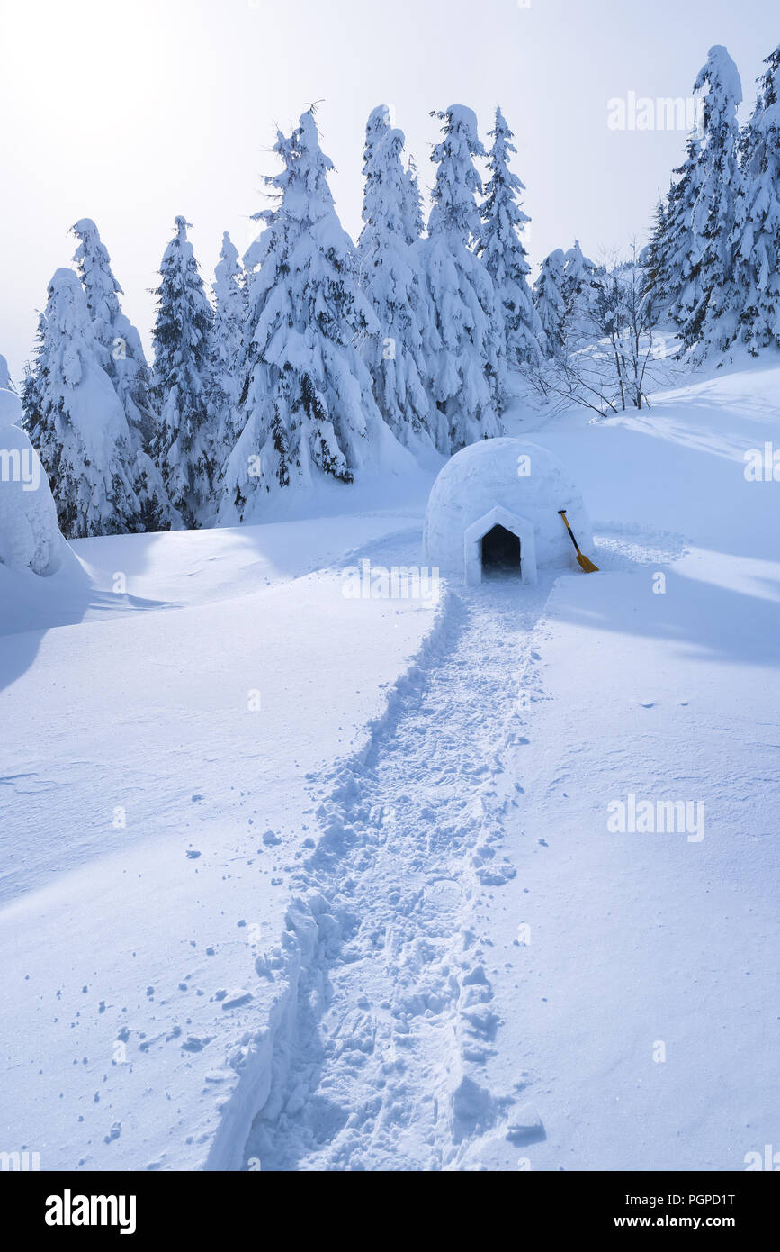 Snow igloo. Winter in the mountains. Landscape with shelter for extreme ...
