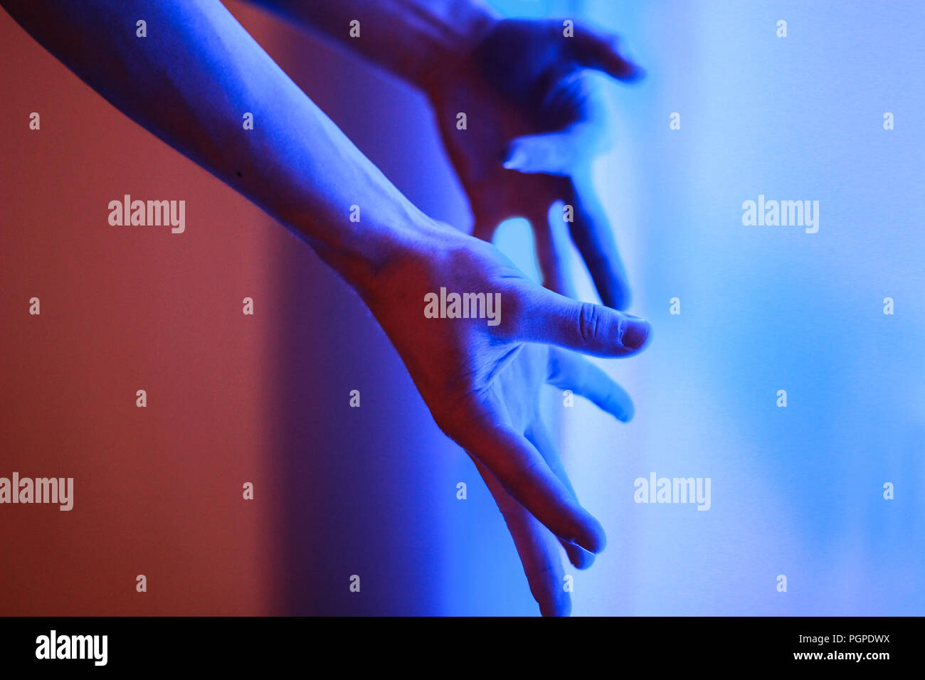 Human hands in red and blue color neon fluorescent light Stock Photo ...