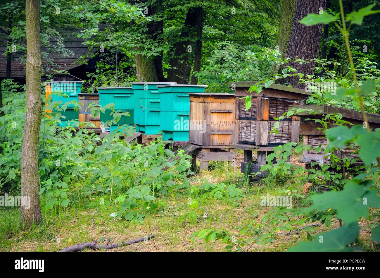 Beehive cottage hi-res stock photography and images - Alamy