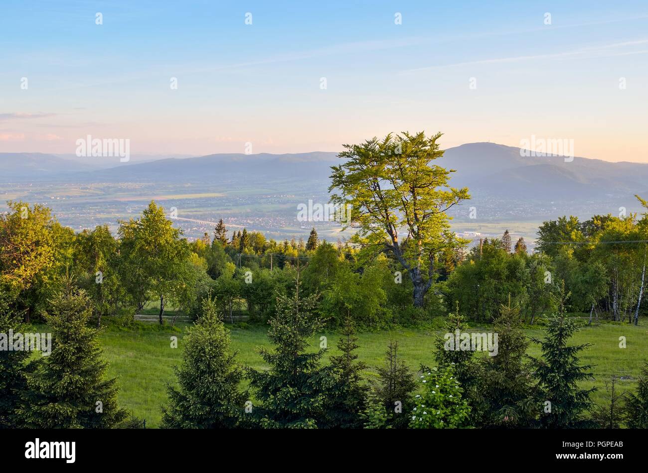 Spring mountain landscape. A beautiful view of the green hills Stock ...