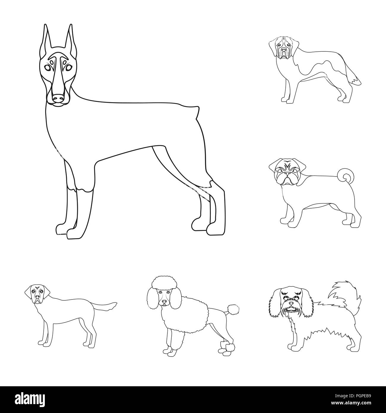 Dog breeds outline icons in set collection for design.Dog pet vector ...
