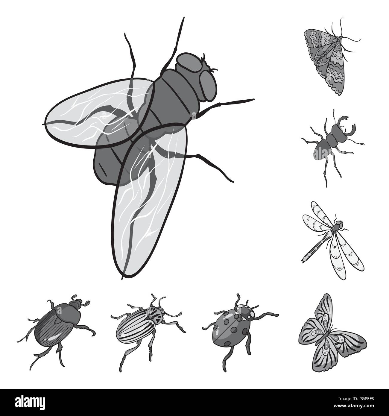 Different kinds of insects monochrome icons in set collection for ...