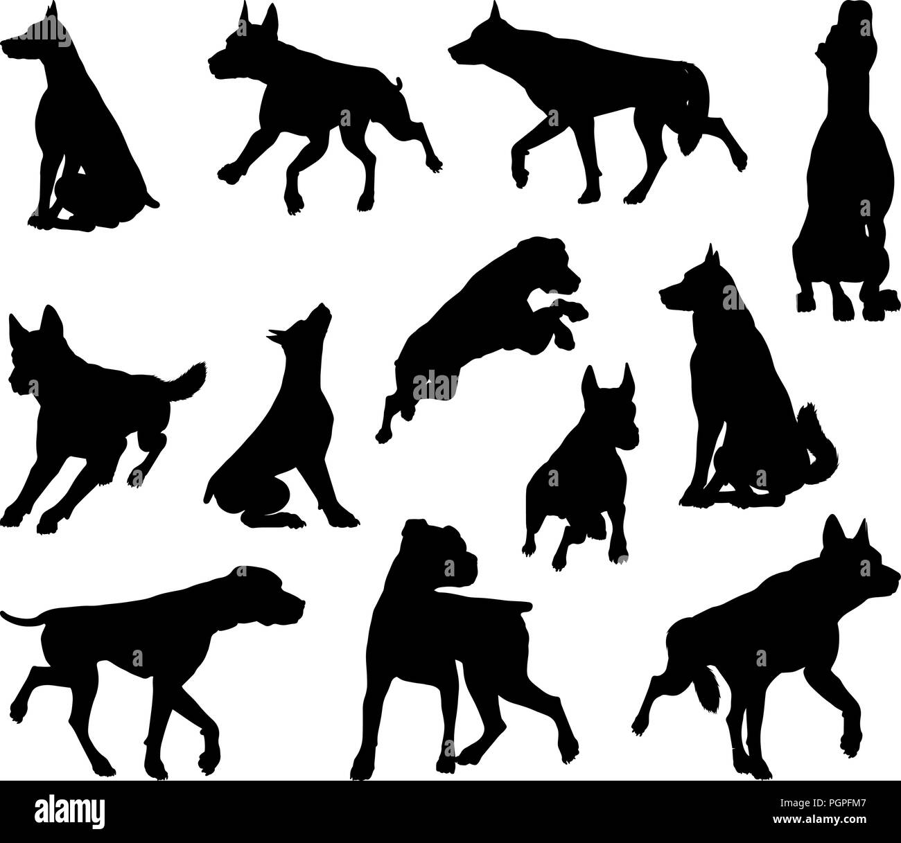 Set of dog breeds silhouettes hi-res stock photography and images - Alamy