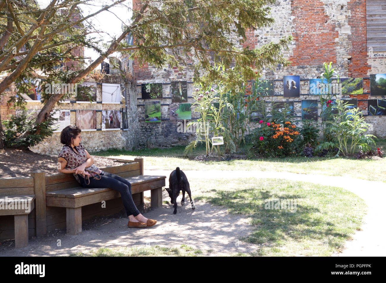 Jardin de tripot hi-res stock photography and images - Alamy