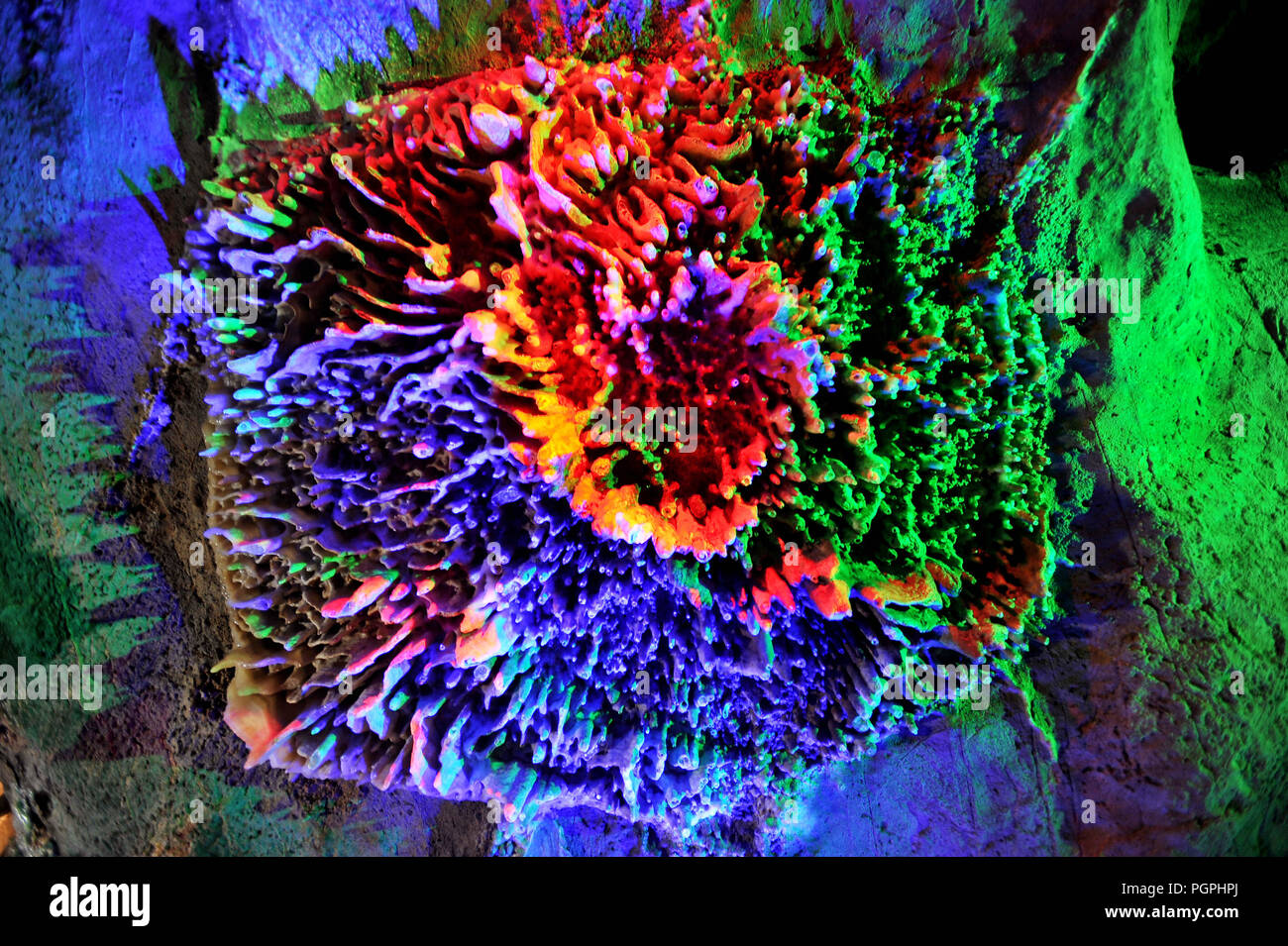 Baoding hebei hi-res stock photography and images - Alamy