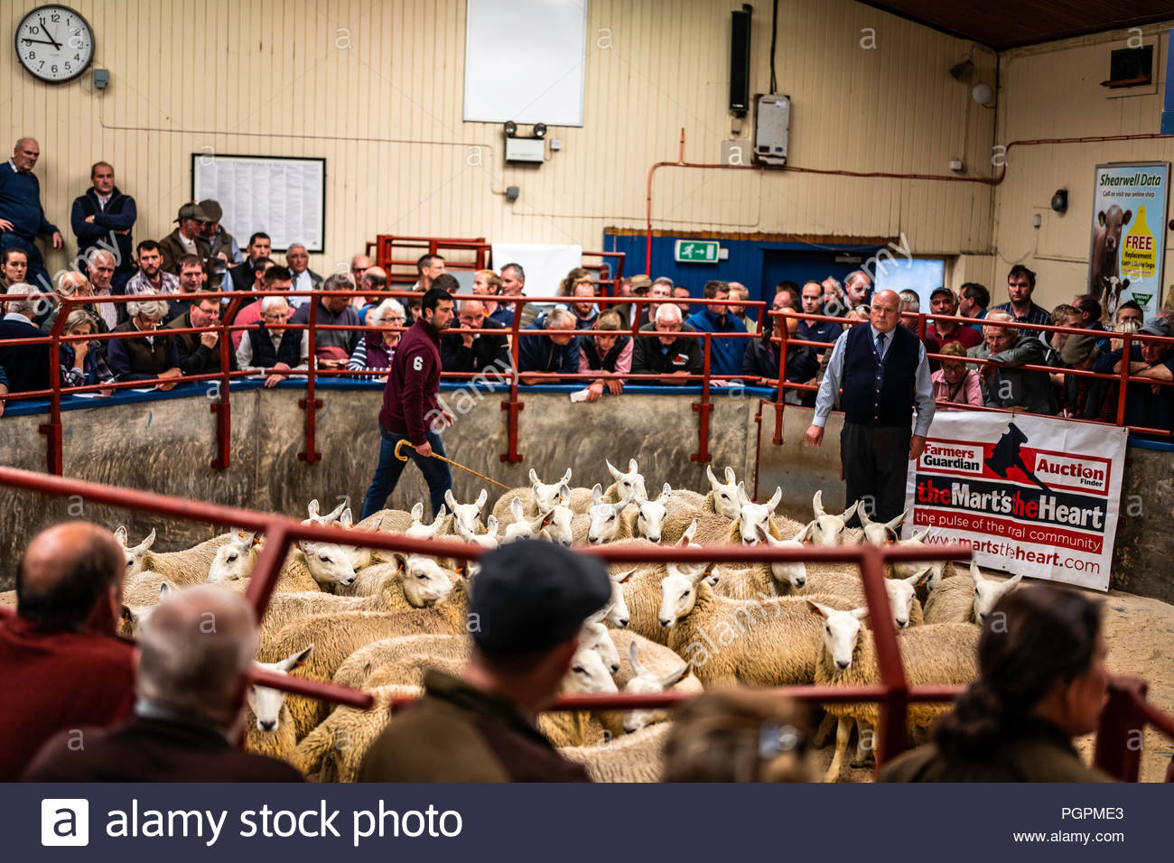 Mart Prices High Resolution Stock Photography and Images - Alamy