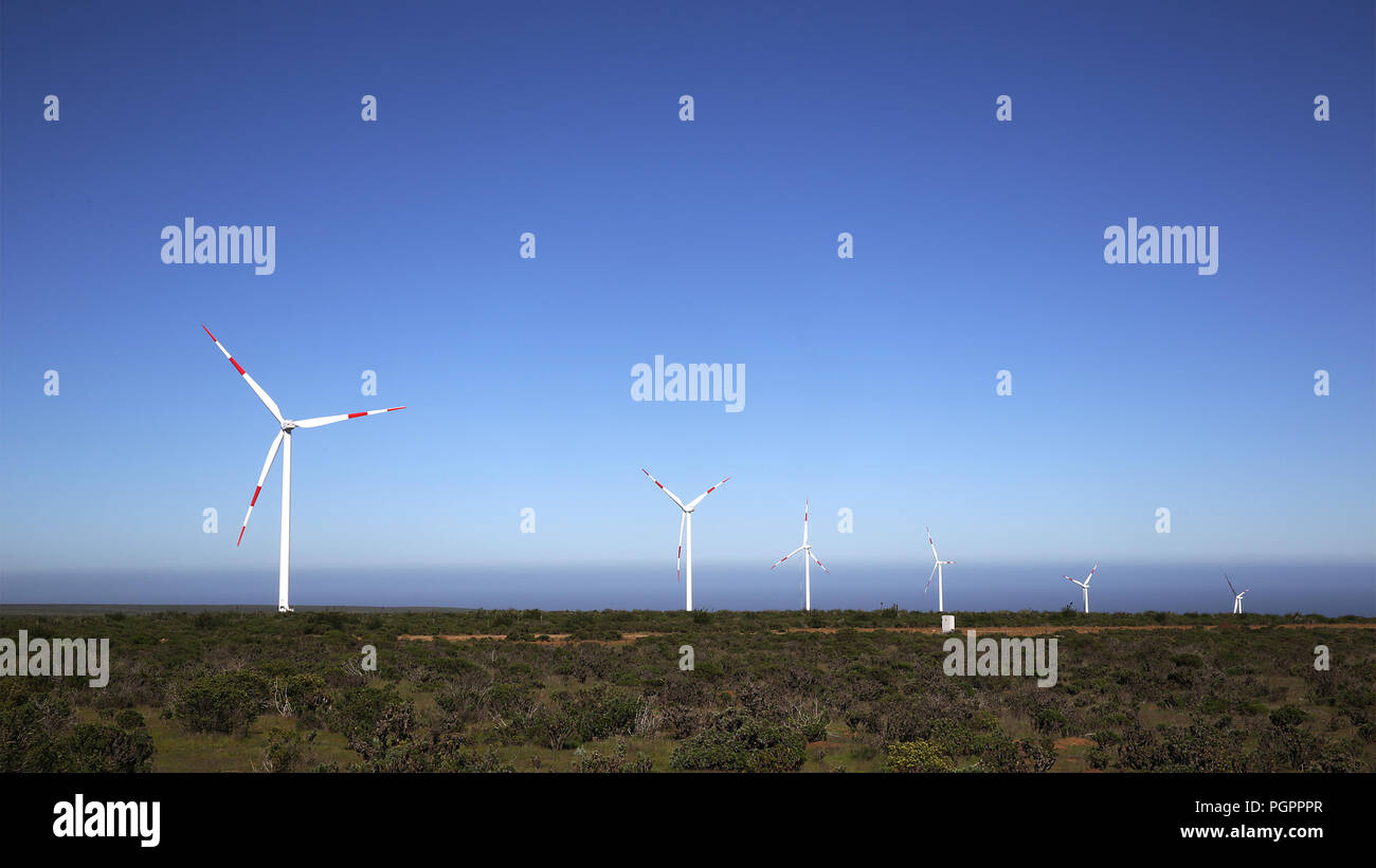 Ovalle. 24th Aug, 2018. Photo taken on Aug. 24, 2018 shows the Punta ...
