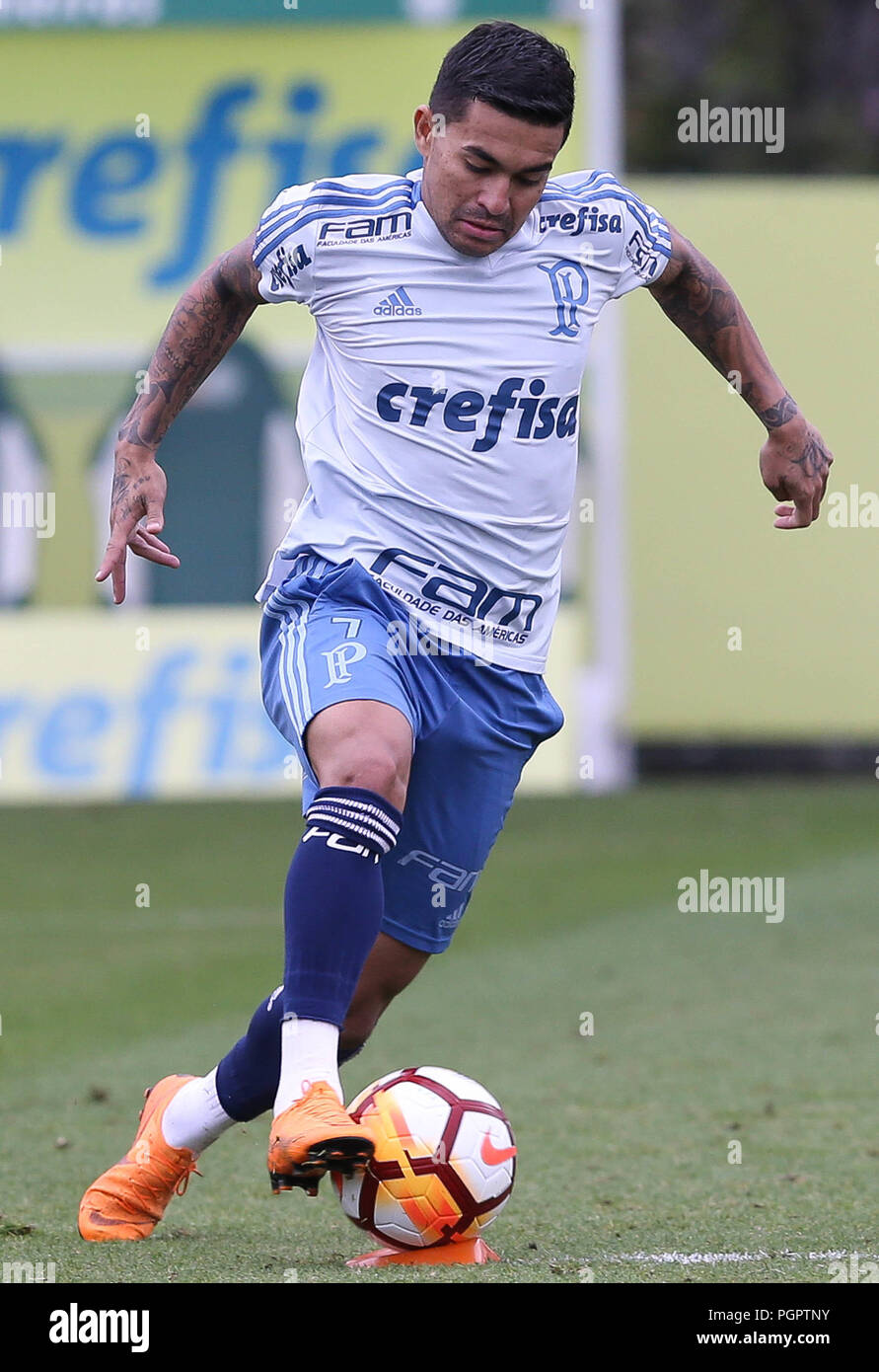 SÃO PAULO, SP - 27.08.2018: TREINO DO PALMEIRAS - The player Dudu, from ...