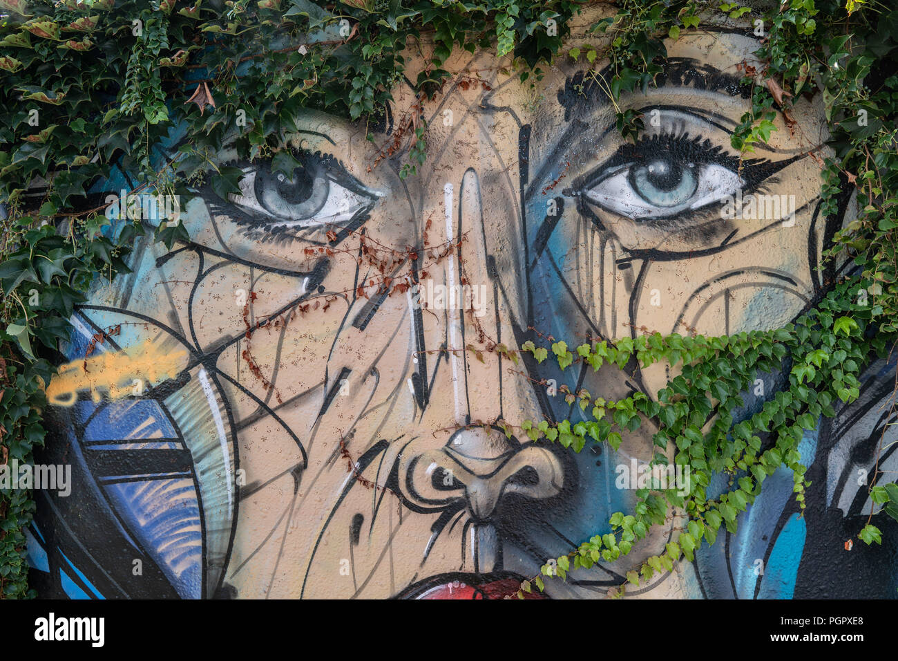 Bad Vilbel, Germany. 28th Aug, 2018. Tendrils are slowly growing into a ...