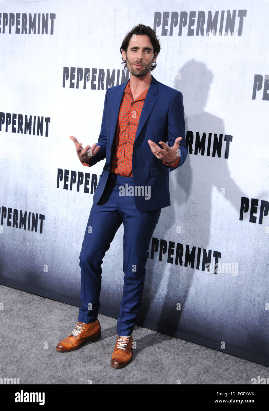 Los Angeles, USA. 28th Aug 2018. Musician/actor Tyson Ritter attends ...