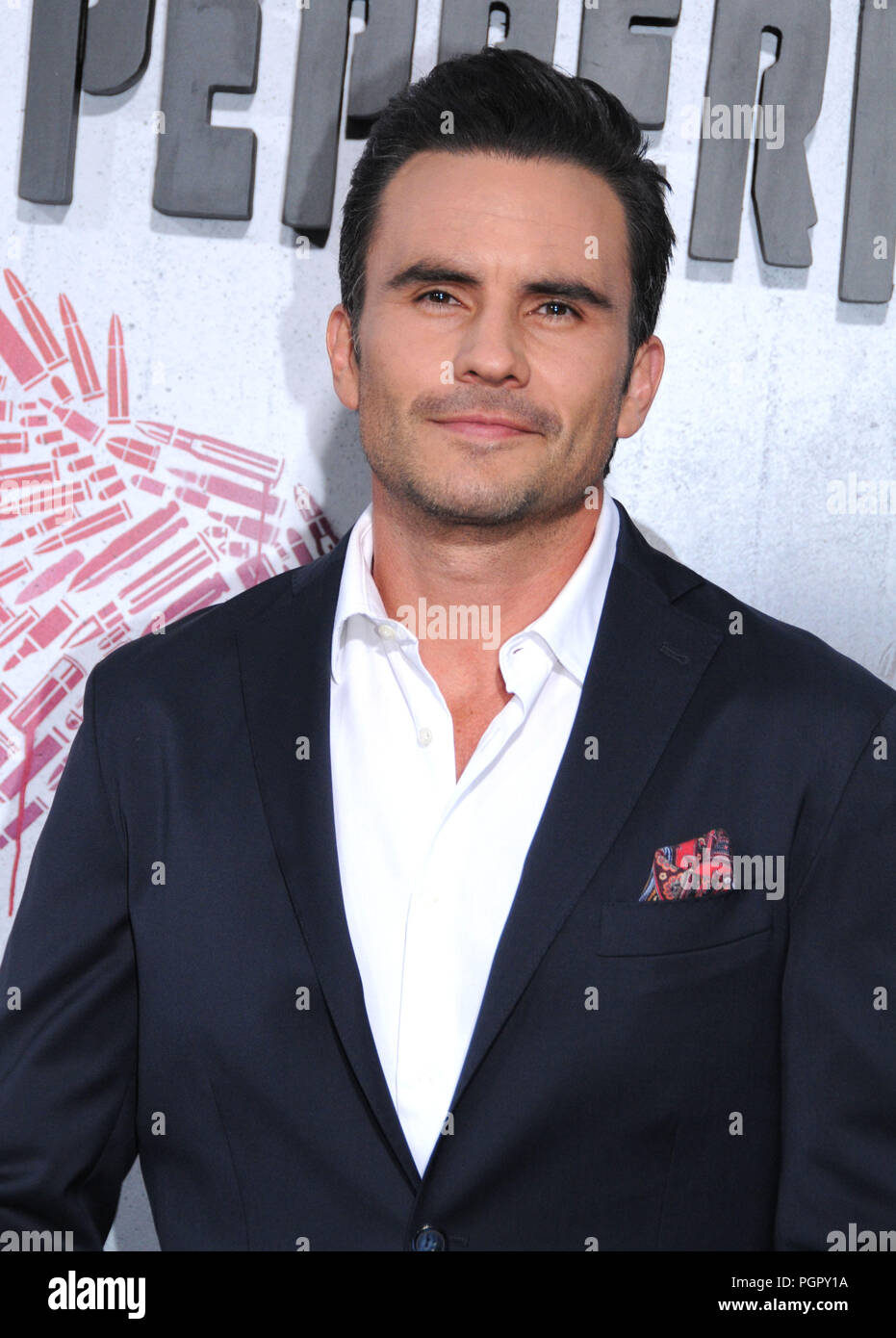 Los Angeles, USA. 28th Aug 2018. Actor Juan Pablo Raba attends the ...