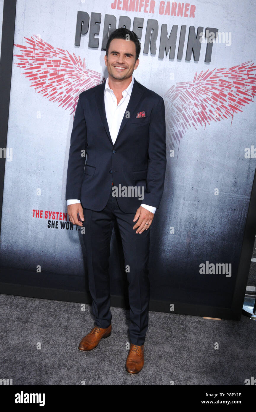 Los Angeles, USA. 28th Aug 2018. Actor Juan Pablo Raba attends the ...