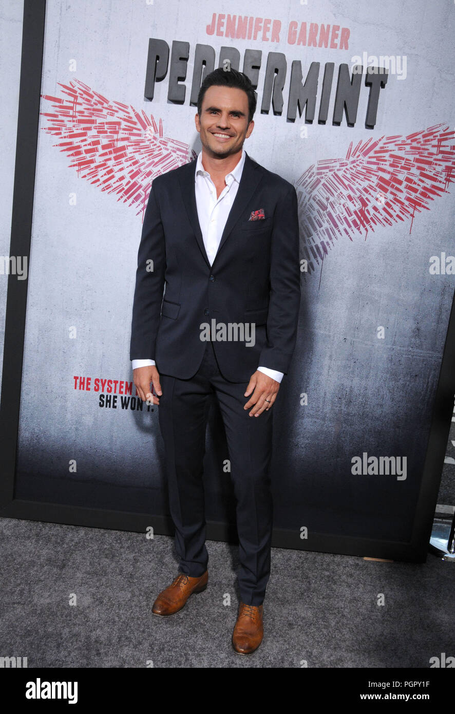 Los Angeles, USA. 28th Aug 2018. Actor Juan Pablo Raba attends the ...
