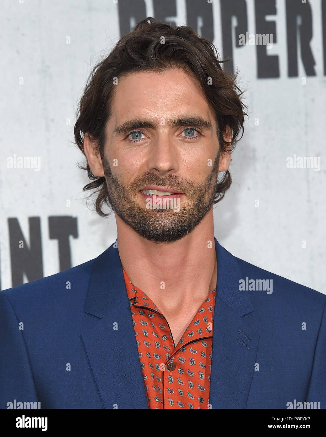 Hollywood, California, USA. 28th Aug, 2018. Tyson Ritter arrives for ...