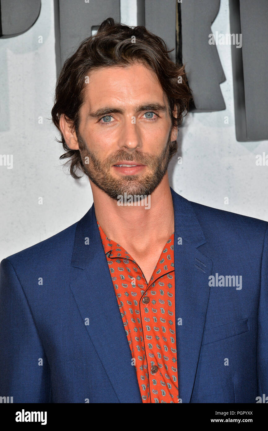 Los Angeles, USA. 28th Aug 2018. Tyson Ritter at the world premiere of ...
