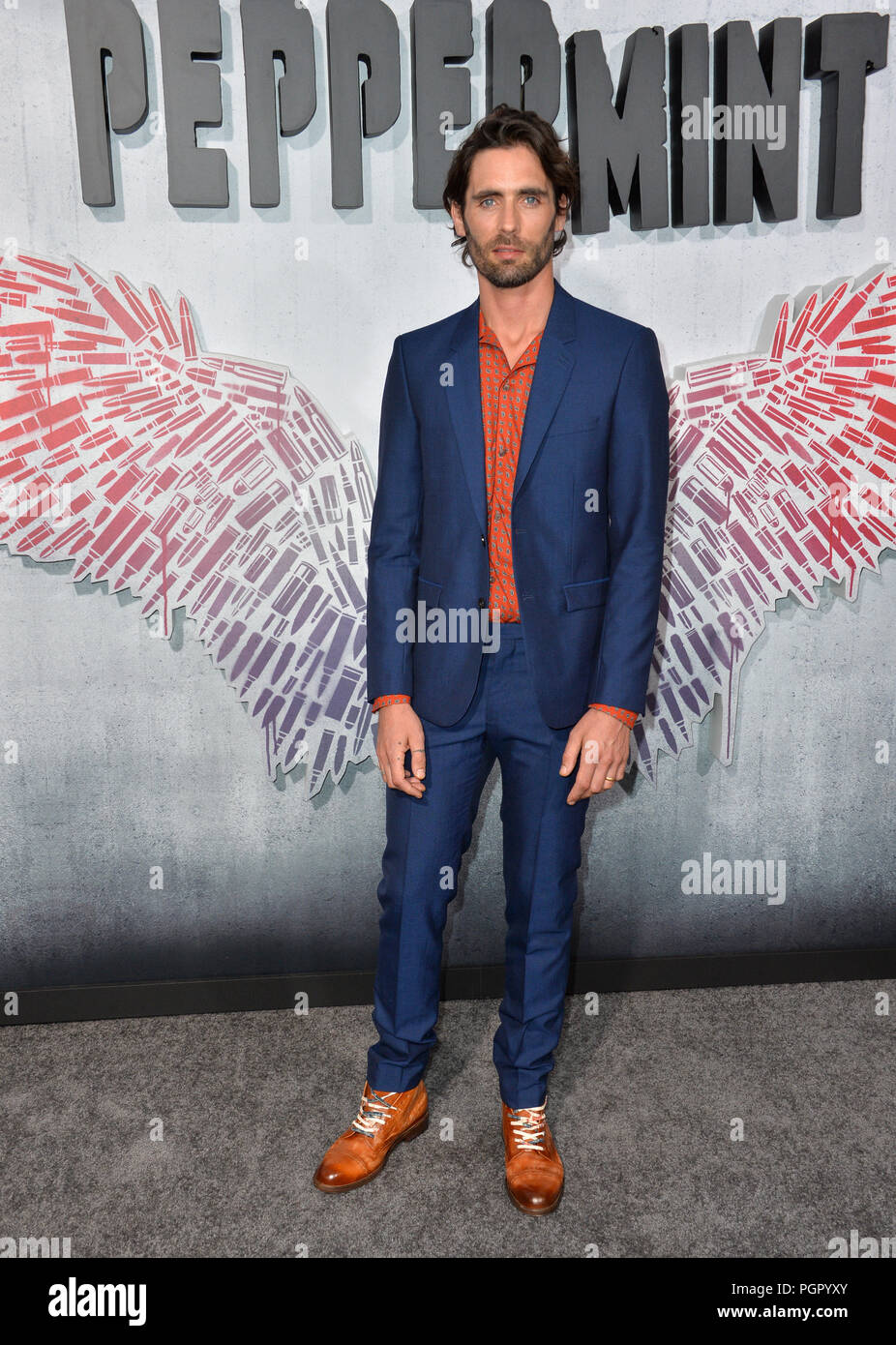 Los Angeles, USA. 28th Aug 2018. Tyson Ritter at the world premiere of ...