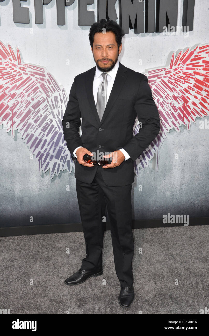 Sam medina hi-res stock photography and images - Alamy