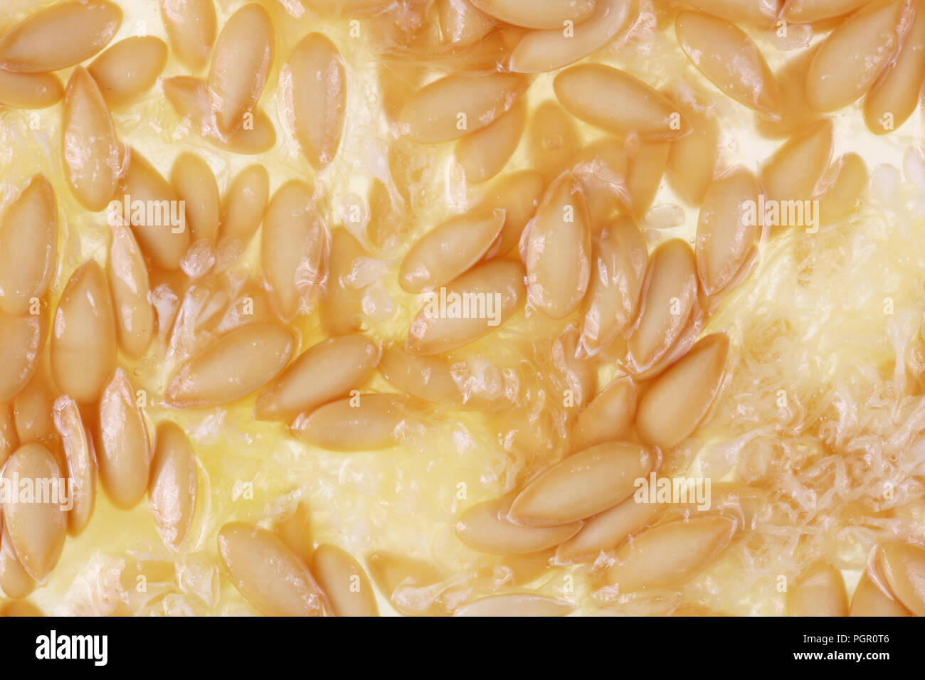 Wet pulp hi-res stock photography and images - Alamy