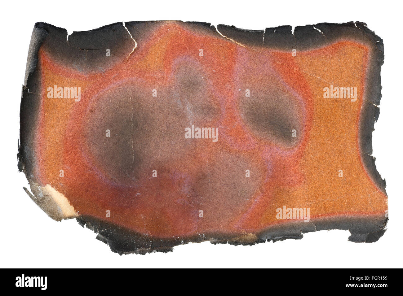 Glossy white ash hi-res stock photography and images - Alamy