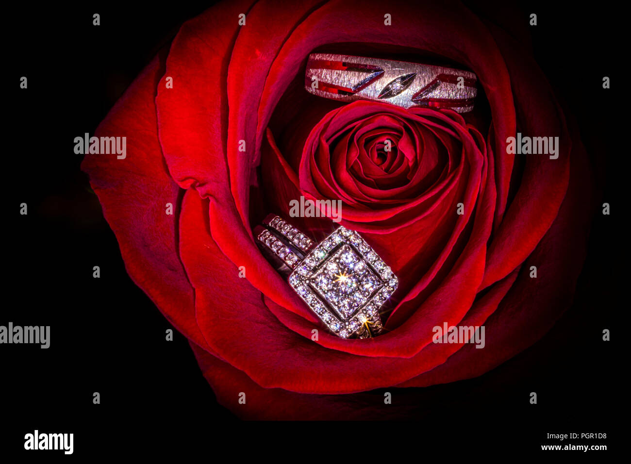 White rose with rings hi-res stock photography and images - Alamy