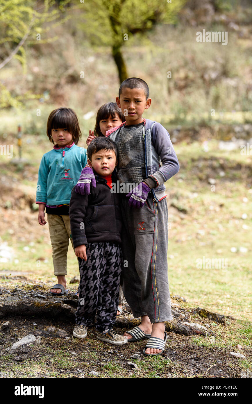 Ngalops hi-res stock photography and images - Alamy