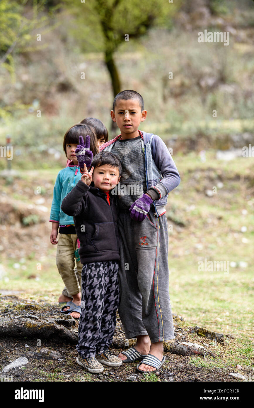 Ngalops hi-res stock photography and images - Alamy