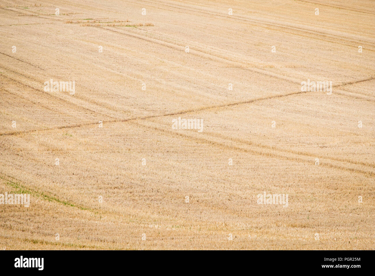 Stubble patterns hi-res stock photography and images - Alamy