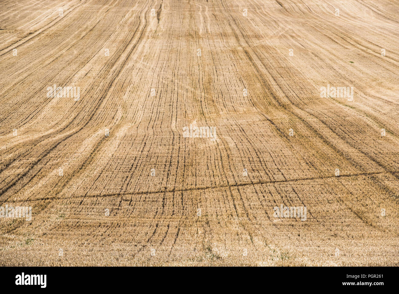 Patterns in a field of stubble Stock Photo - Alamy