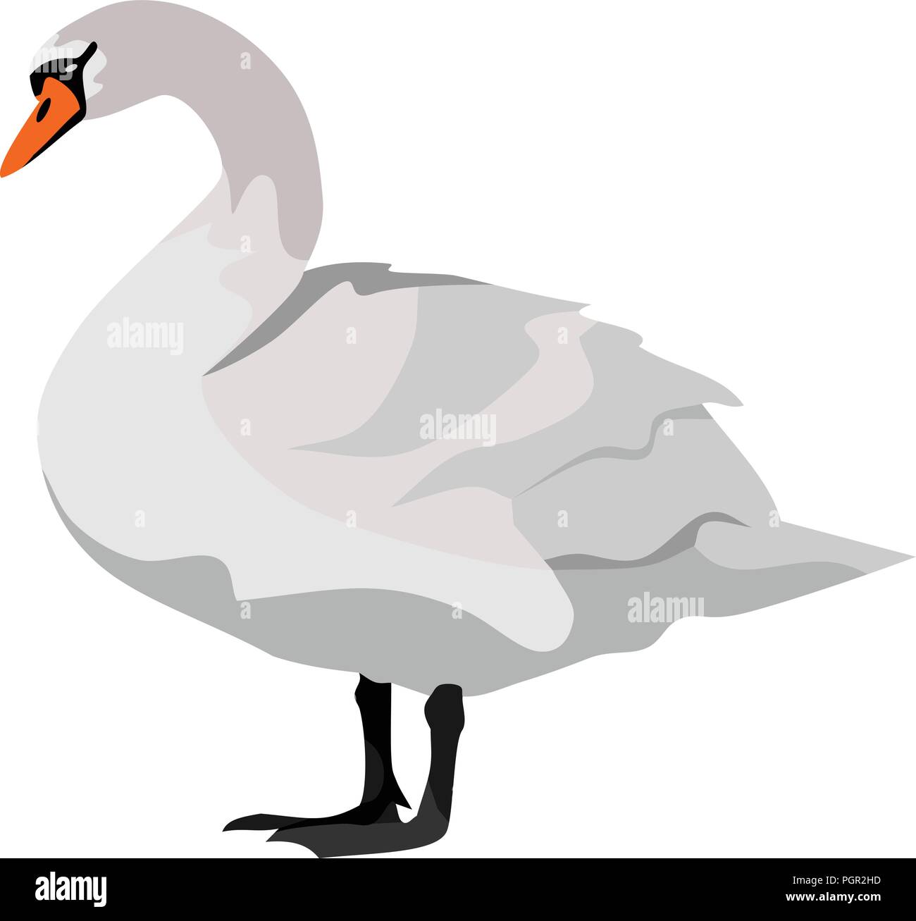 White Swan Bird Animal Vector Stock Vector Image & Art - Alamy