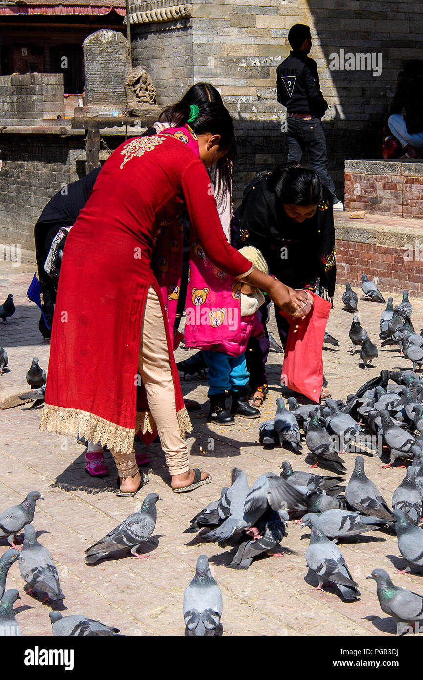 KATMANDU, NEPAL - MAR 6, 2017: Unidentified Chhetri people feed pigeons ...