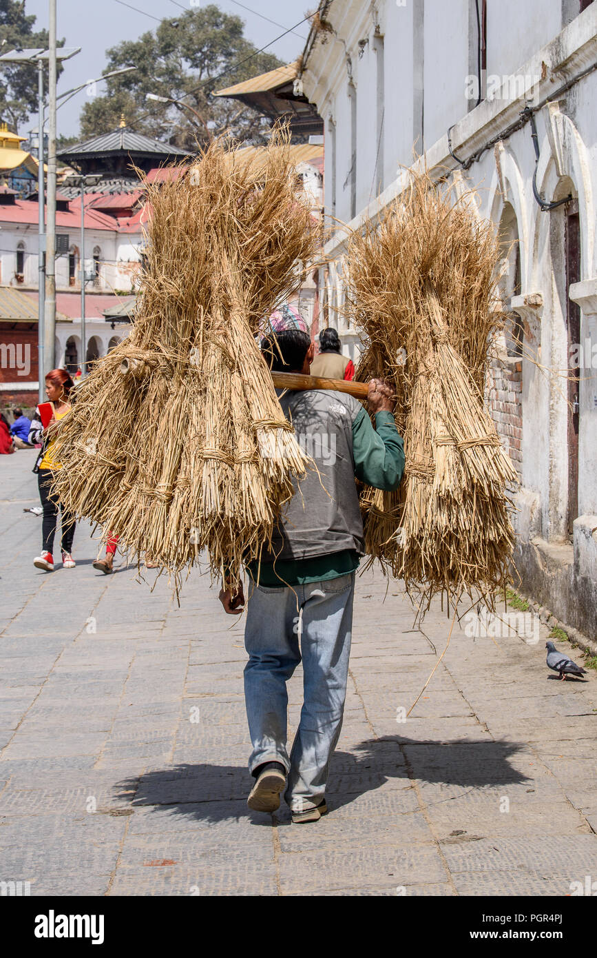 KATMANDU, NEPAL - MAR 6, 2017: Unidentified Chhetri man carries a hay ...