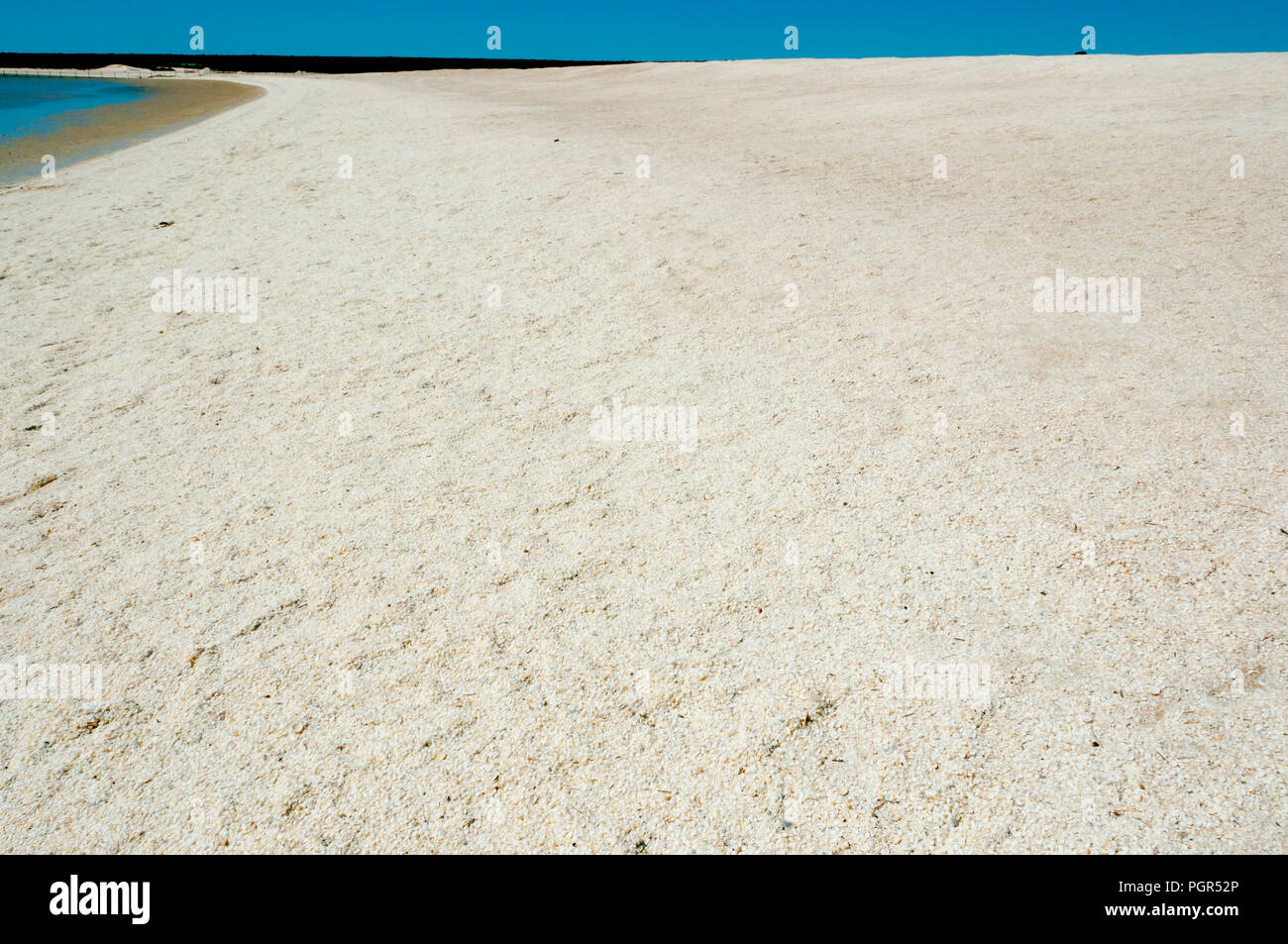 Shell Beach - Shark Bay - Western Australia Stock Photo - Alamy