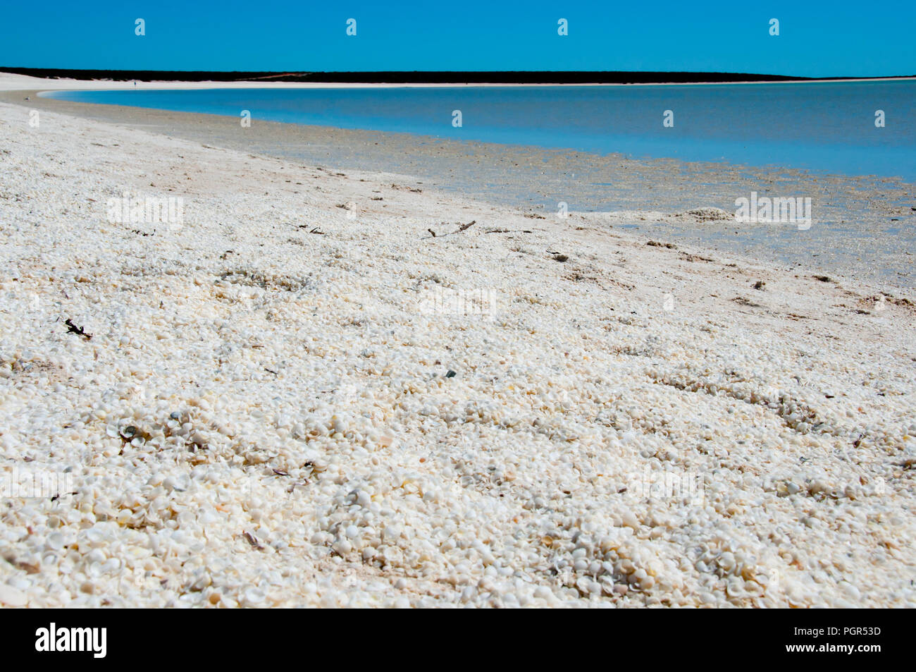 Shell Beach - Shark Bay - Western Australia Stock Photo - Alamy