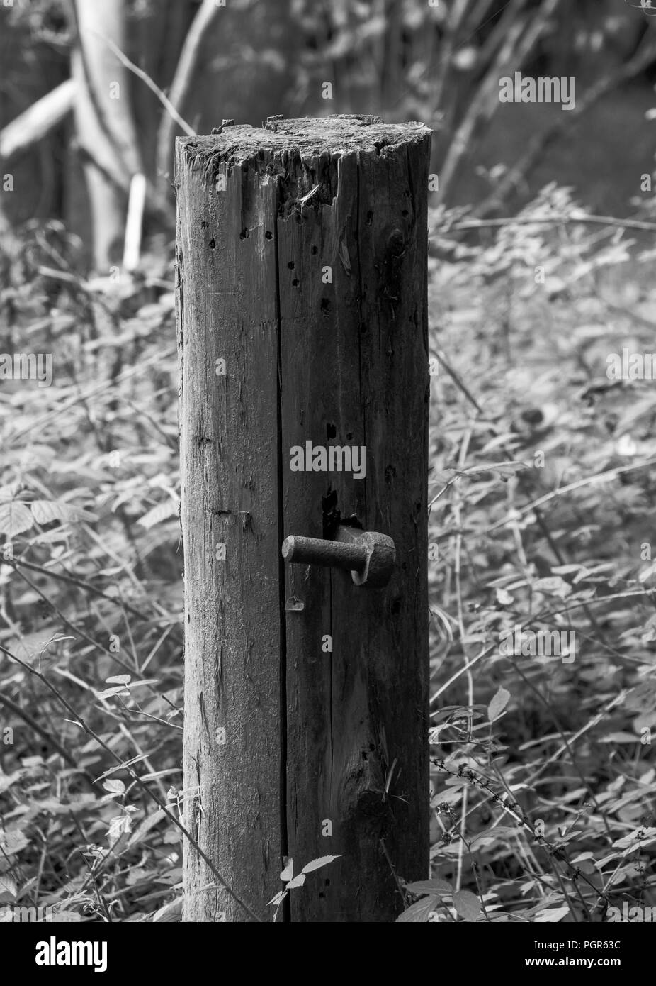 Old black gate Black and White Stock Photos & Images - Alamy