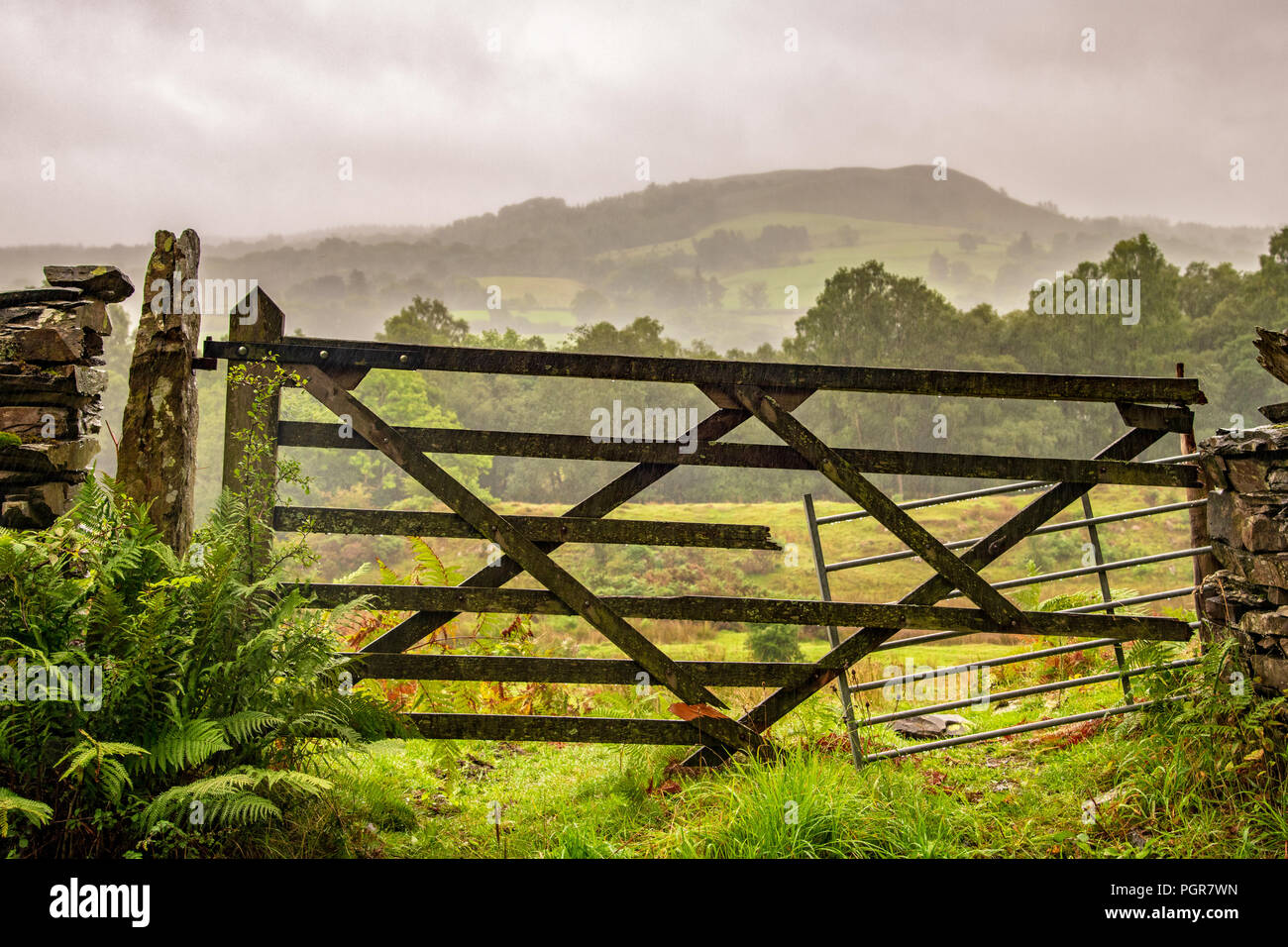 A wet day in the Lake District, with rain falling and dripping off the ...