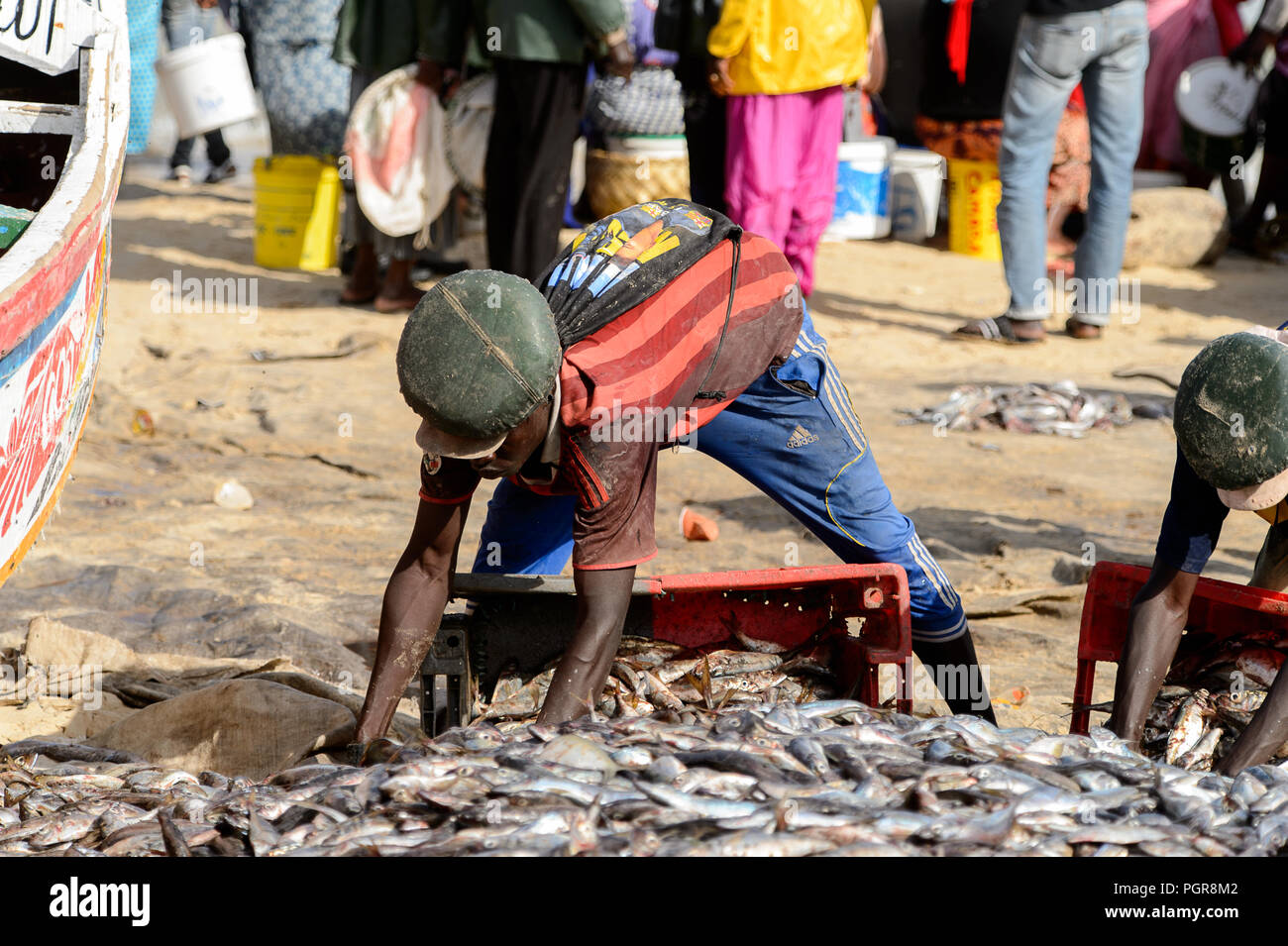 KAYAR, SENEGAL - APR 27, 2017: Unidentified Senegalese man collects ...