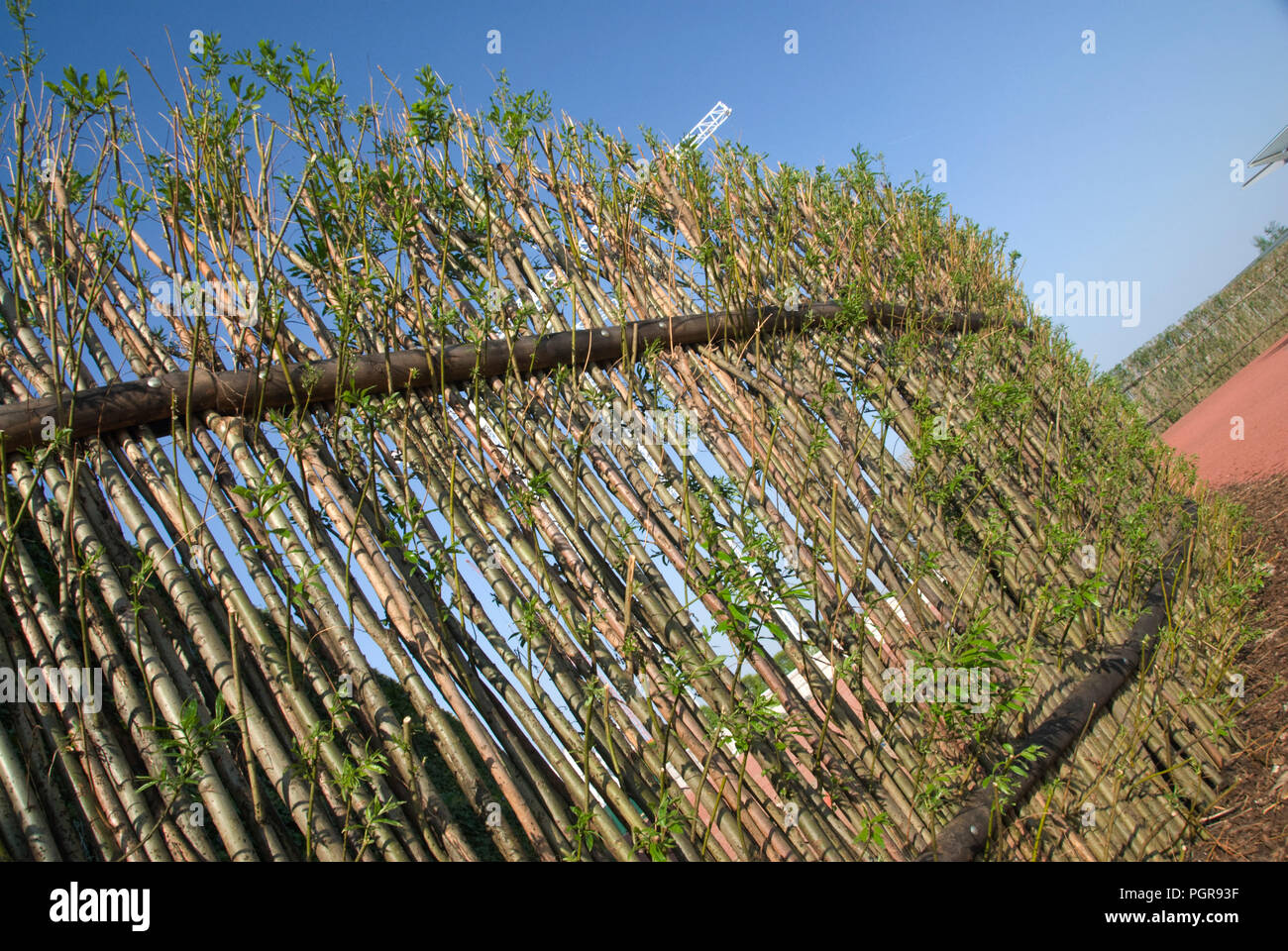 o2 Arena, Greenwich, London Stock Photo - Alamy