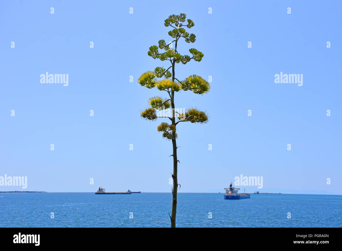 Italy, Puglia region, Taranto, seafront. Panorama, view and details ...