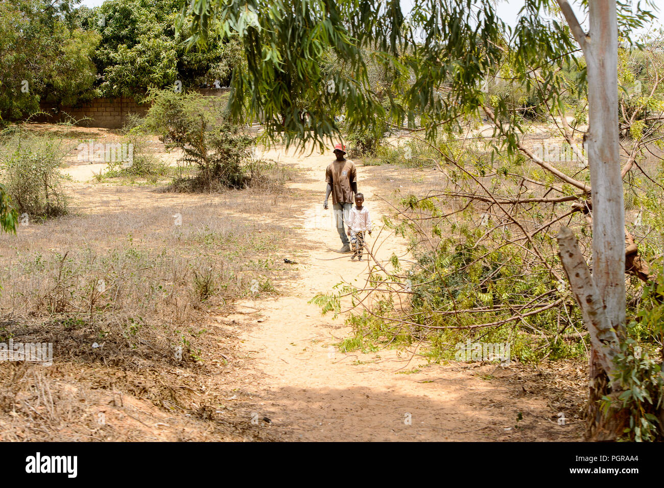 LAC ROSE reg., SENEGAL - APR 27, 2017: Unidentified Senegalese father ...