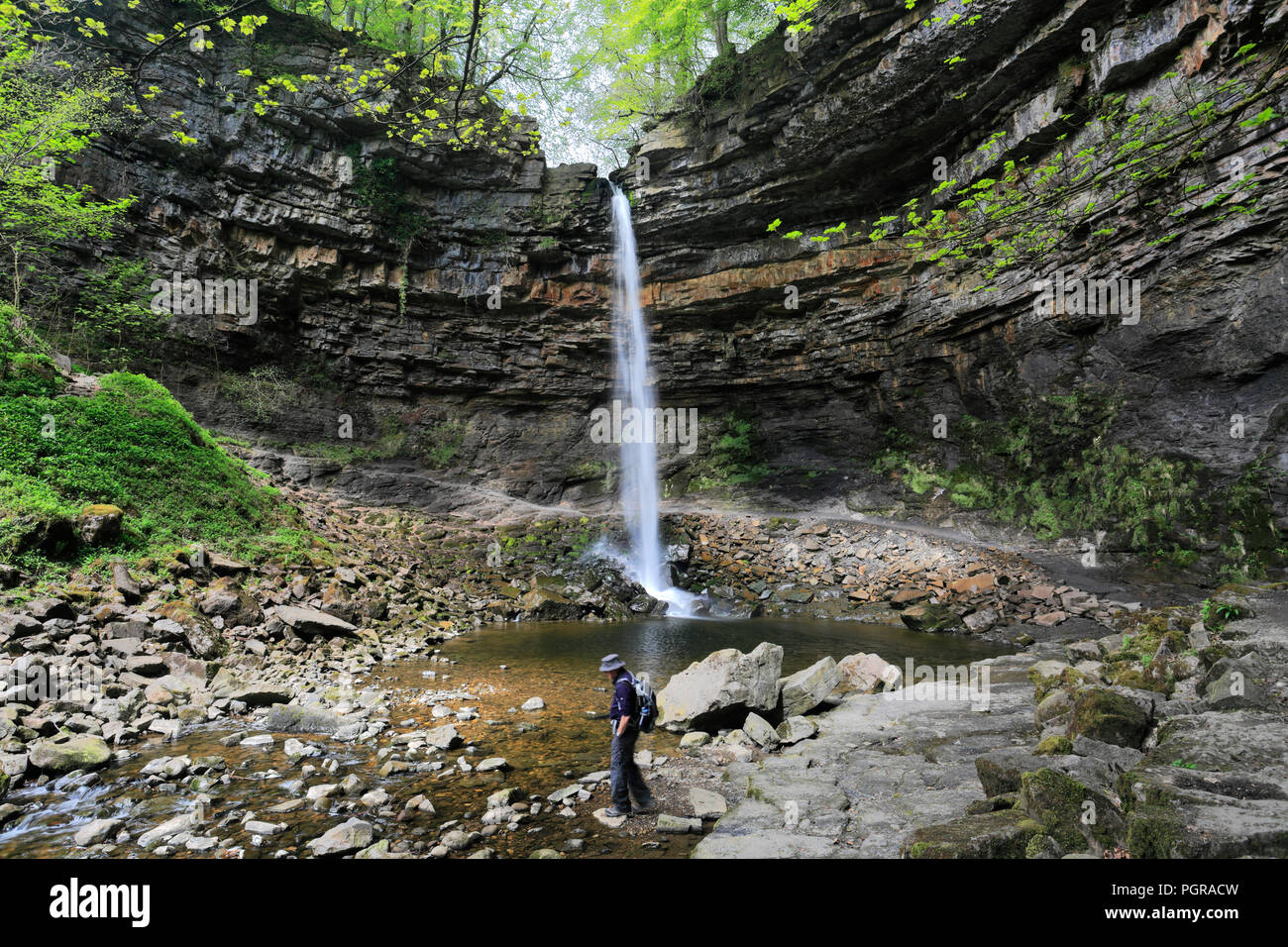 Summer view of Hardraw Force waterfall, Green Dragon pub, Hardraw ...