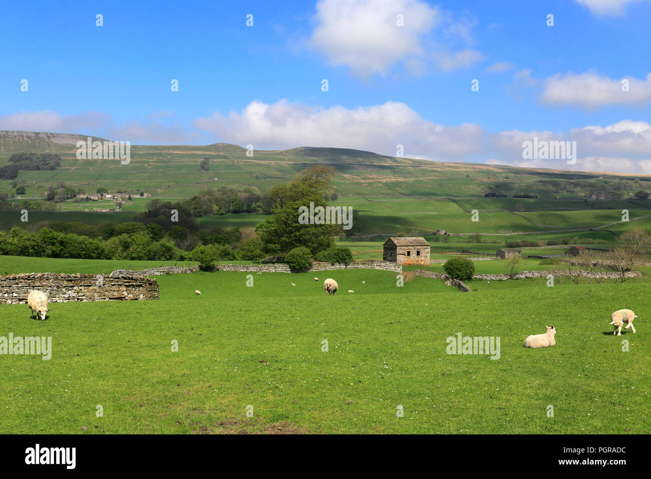 Summer view over Wensleydale, Hawes town, Yorkshire Dales National Park ...