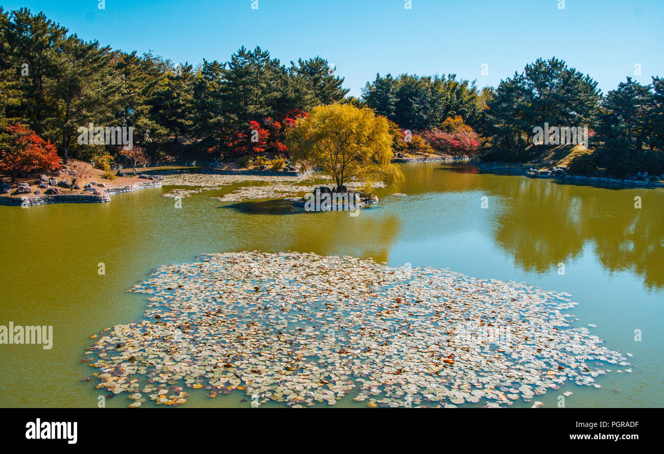 Jun 22, 2017 Donggung Palace and Wolji Pond in Gyeongju, South Korea ...