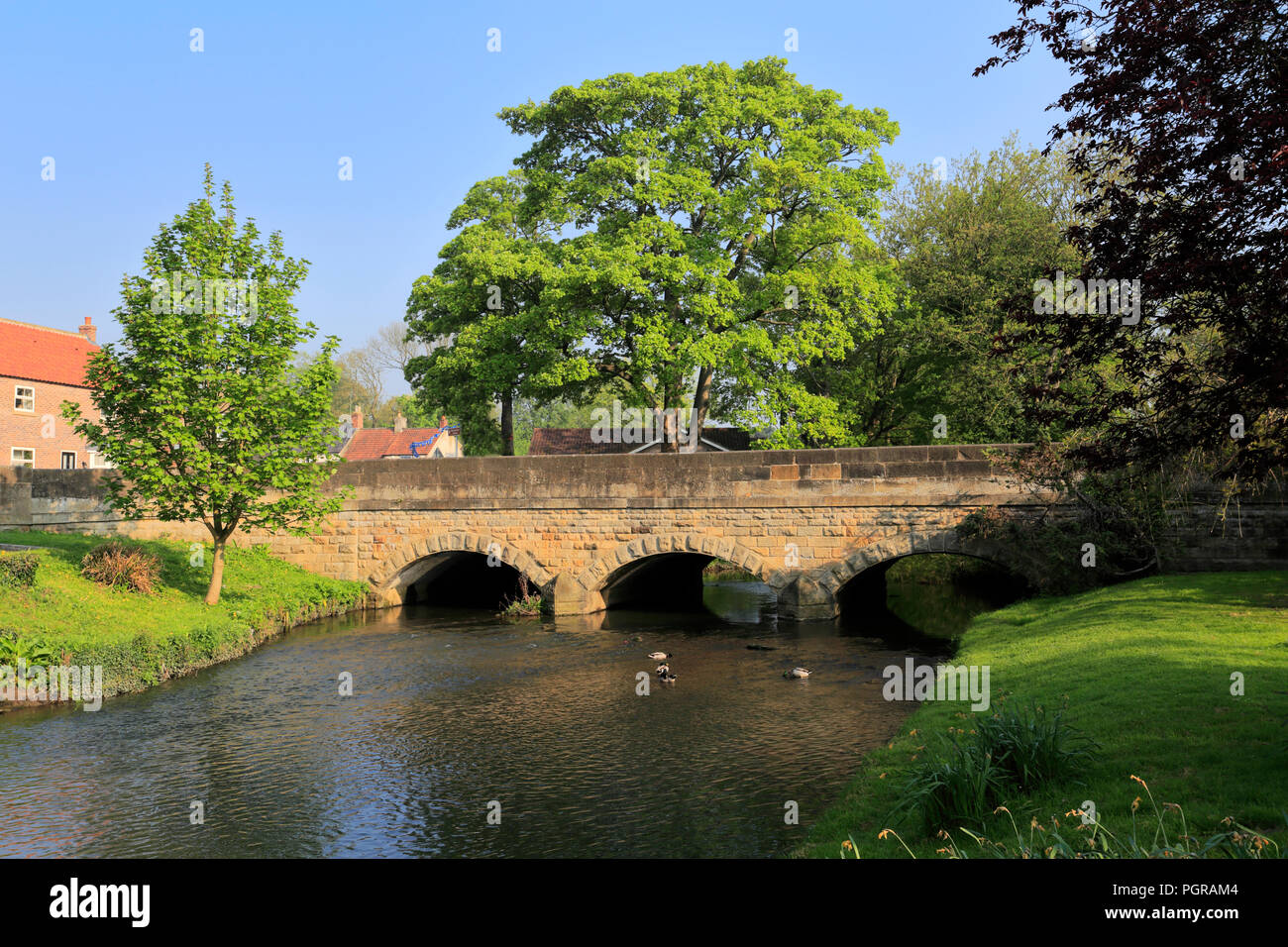 The river Swale, Bedale market town, Hambleton, North Yorkshire ...