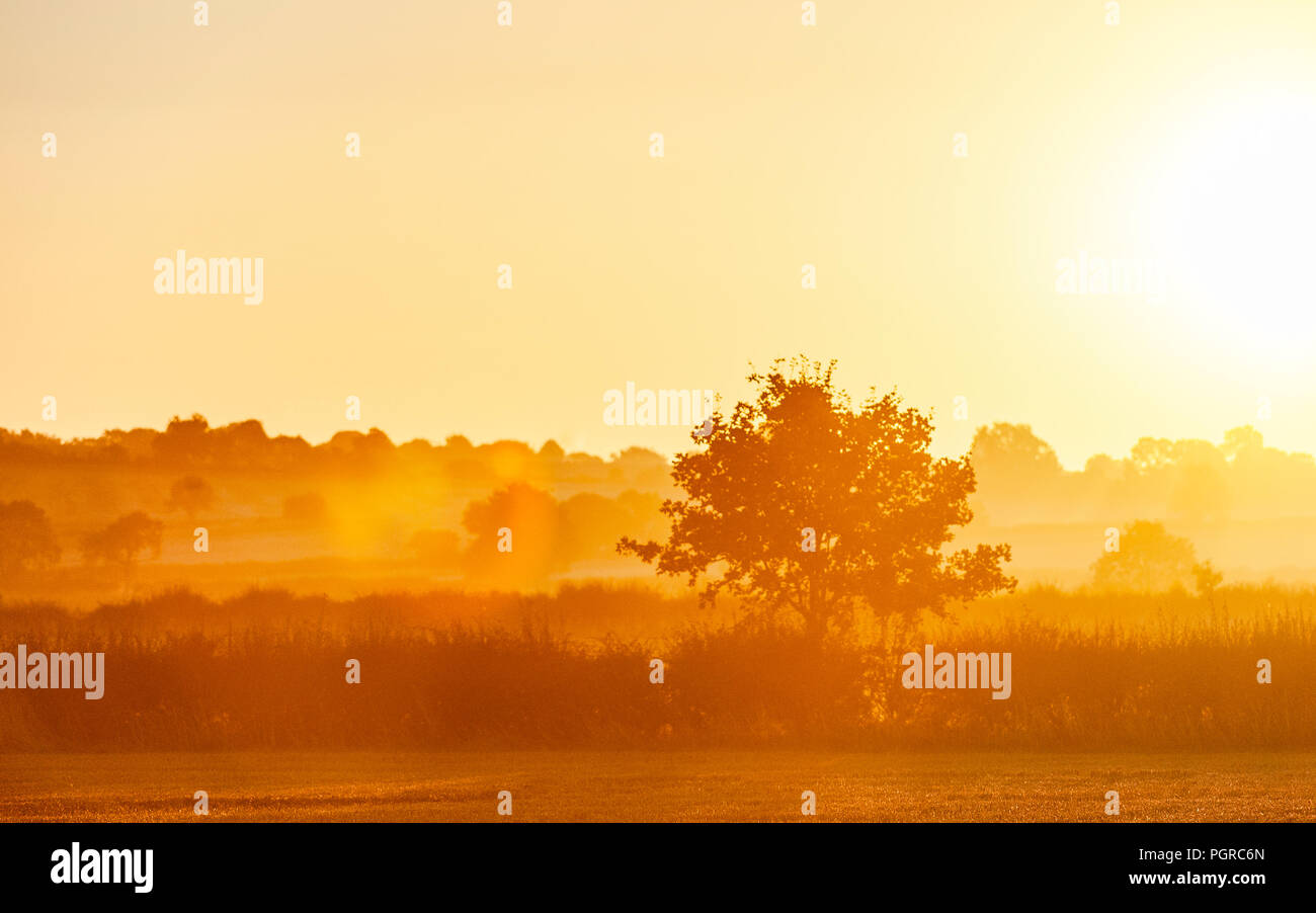 Rays and lens flare hi-res stock photography and images - Alamy