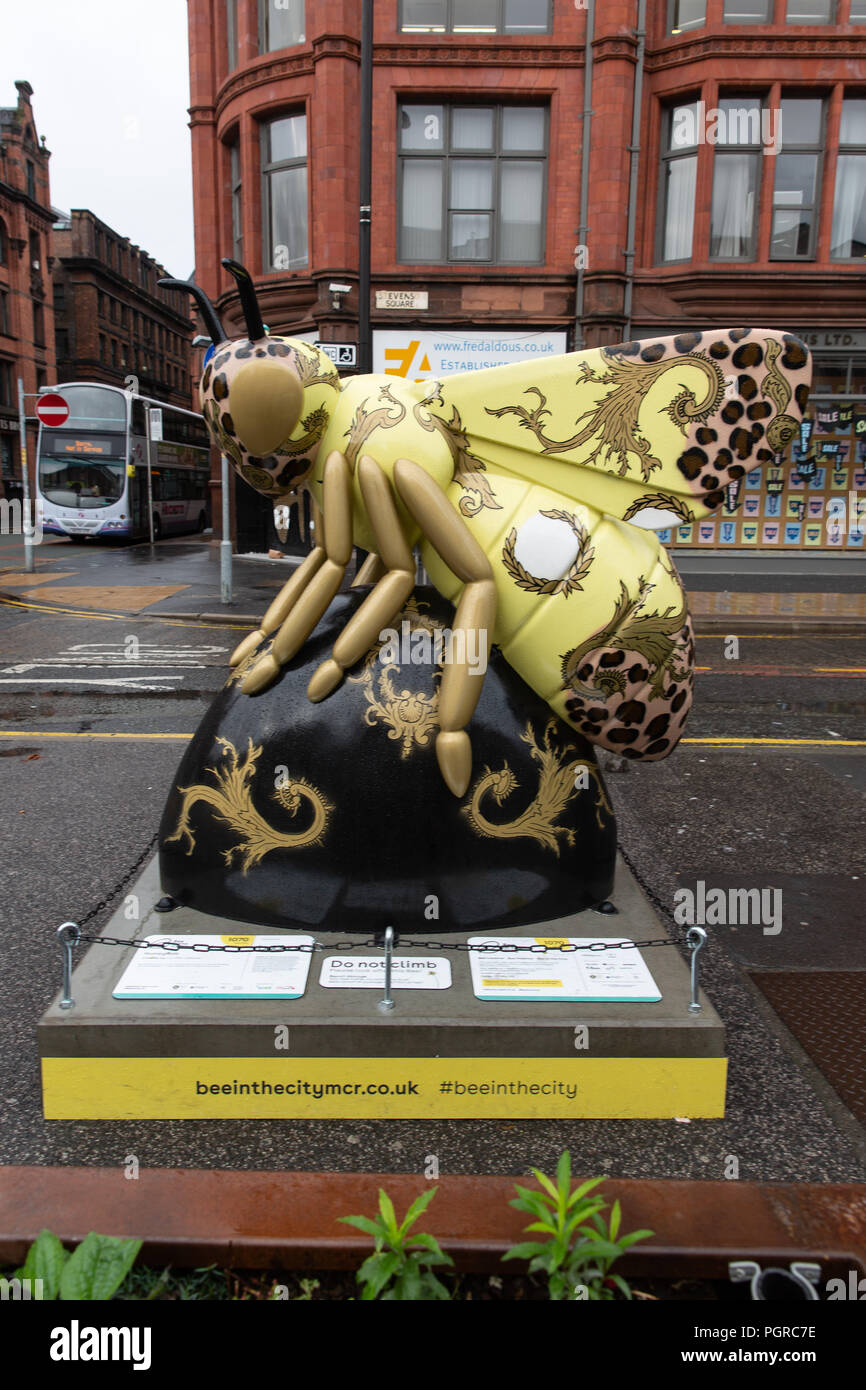 Stevenson square manchester hi-res stock photography and images - Alamy