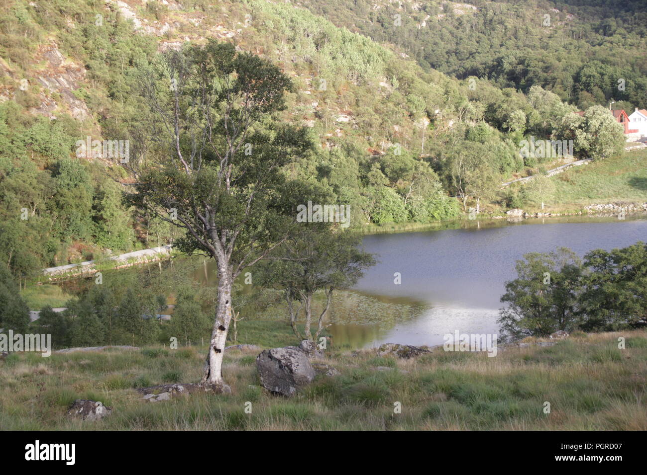 Hike on Dalsnuten, Sandnes,Norway Stock Photo - Alamy